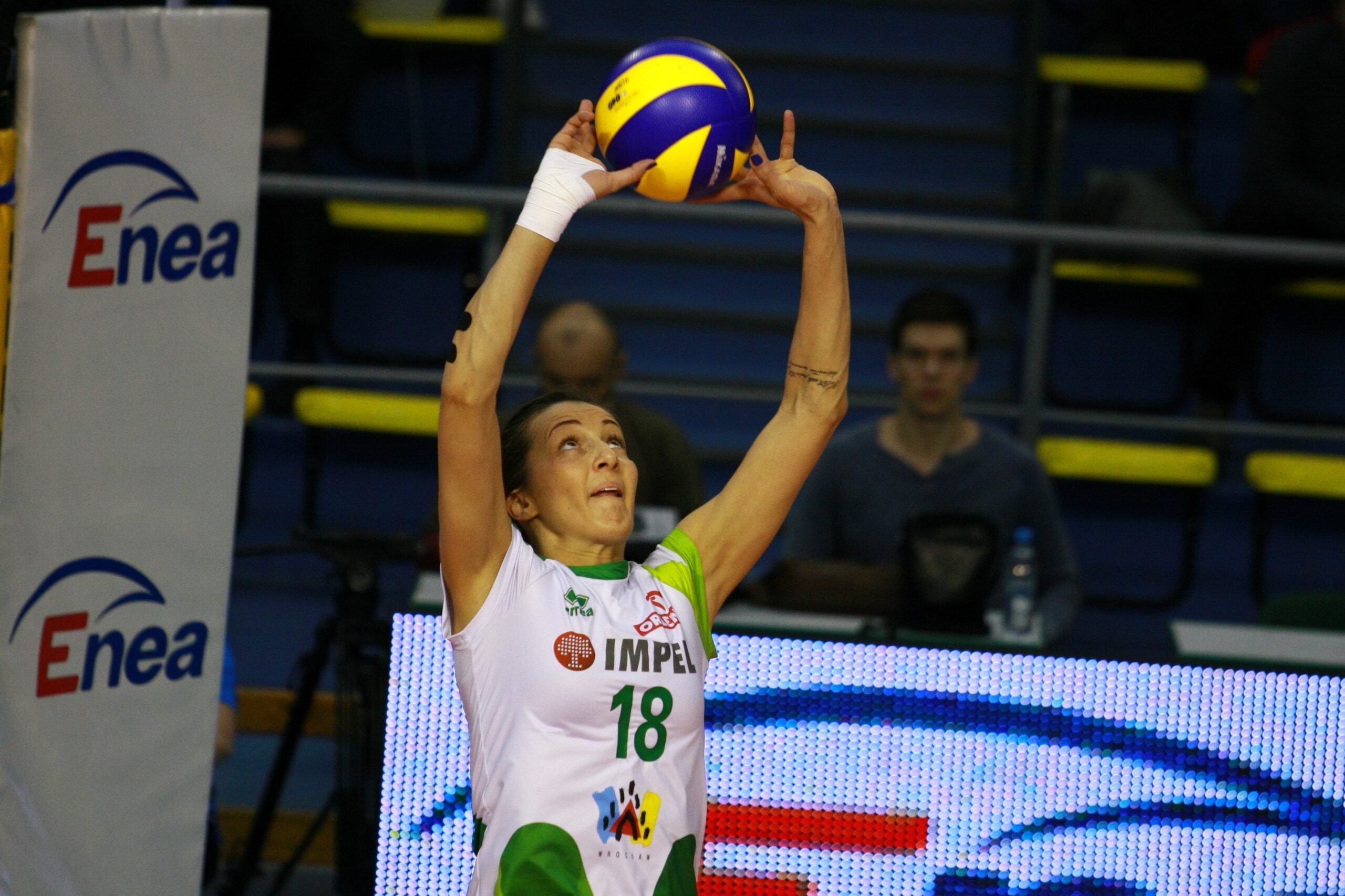 Setter: A Definite Guide - Volleyball and Me